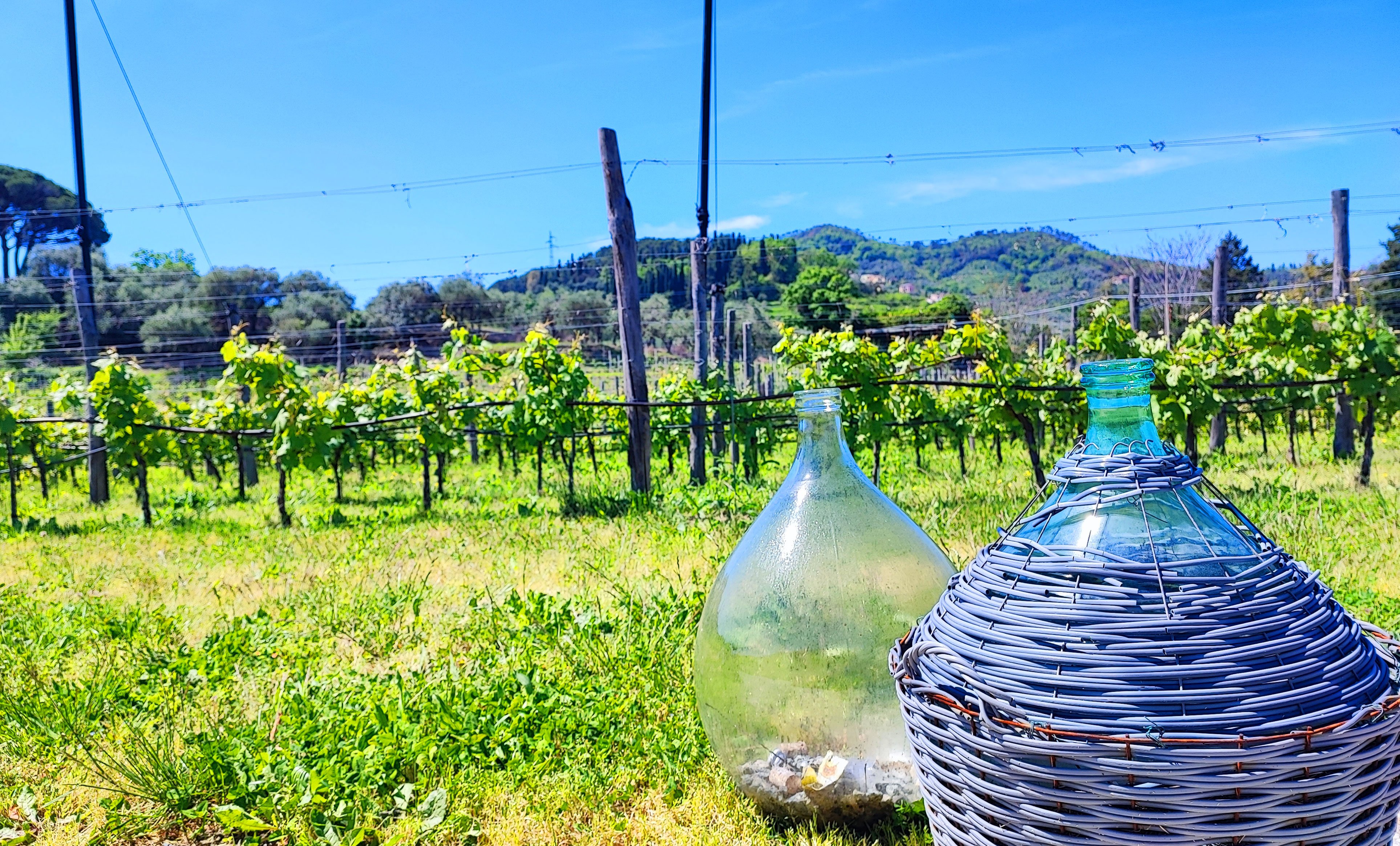 BeA Wine & Food - Be A Wine & Food